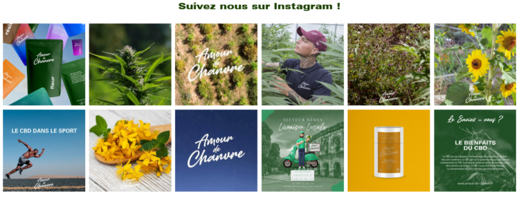 Amour de Chanvre - CBDMAPS