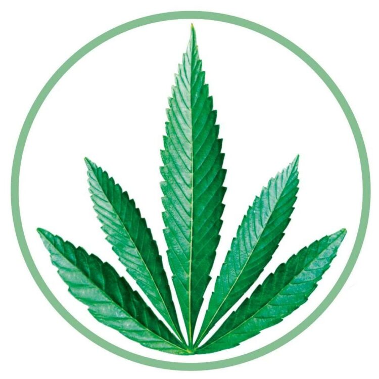 Green Culture Carcavelos - CBDMAPS