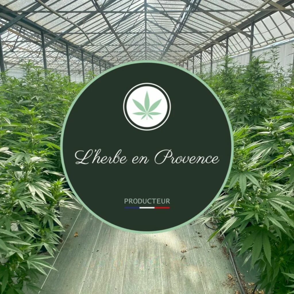 L'Herbe en Provence - CBDMAPS