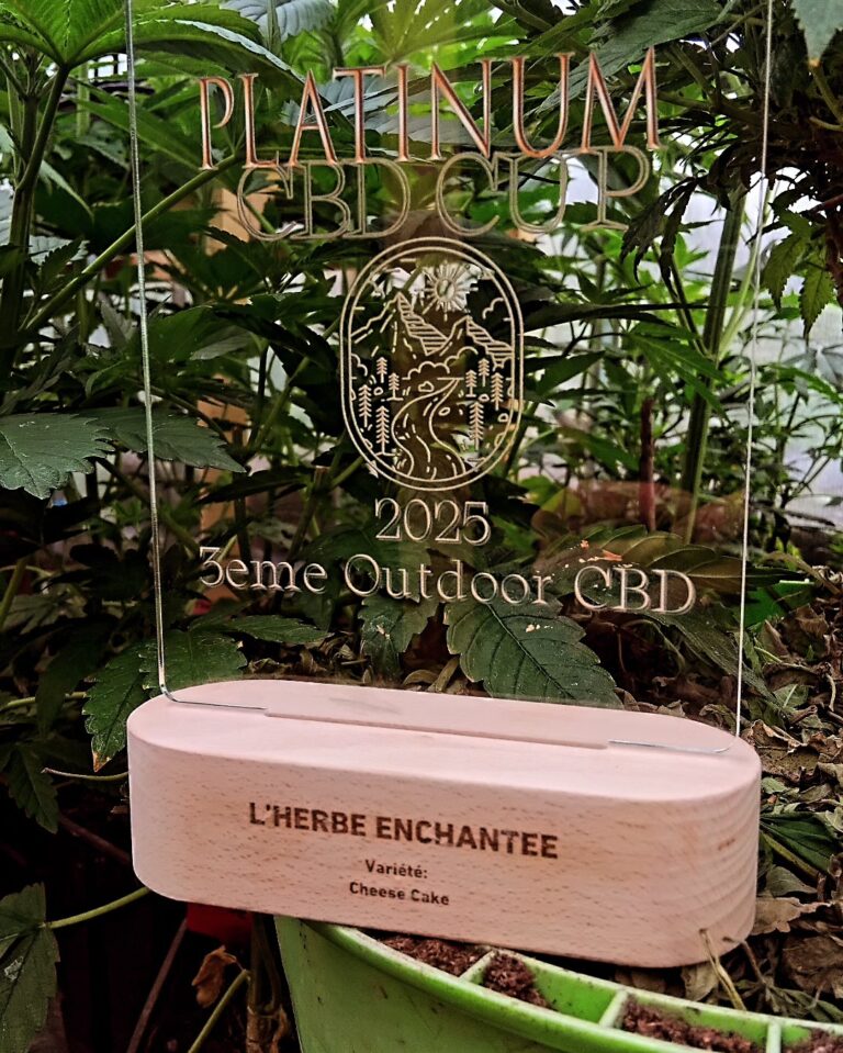 L'Herbe Enchantée - CBDMAPS